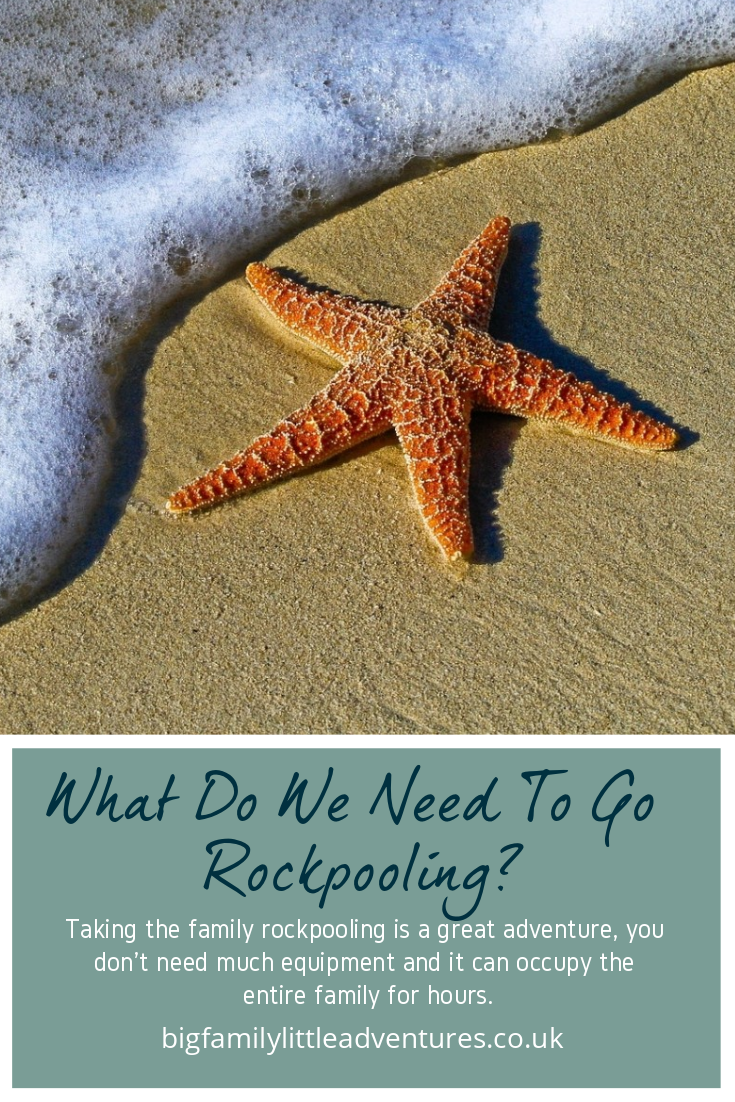 Rock Pooling with A Large Family