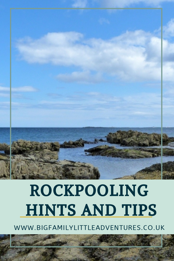Rock Pooling with A Large Family