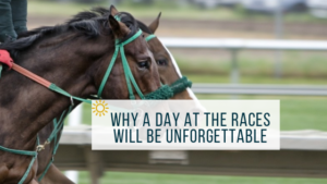 Why a Day at the Races Will be Unforgettable