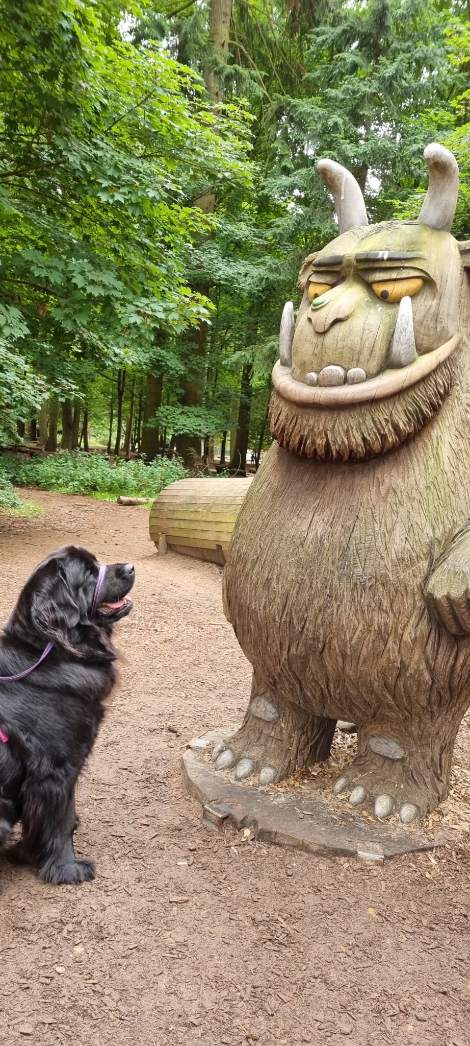 Amazing Gruffalo Trails To Explore in 2021