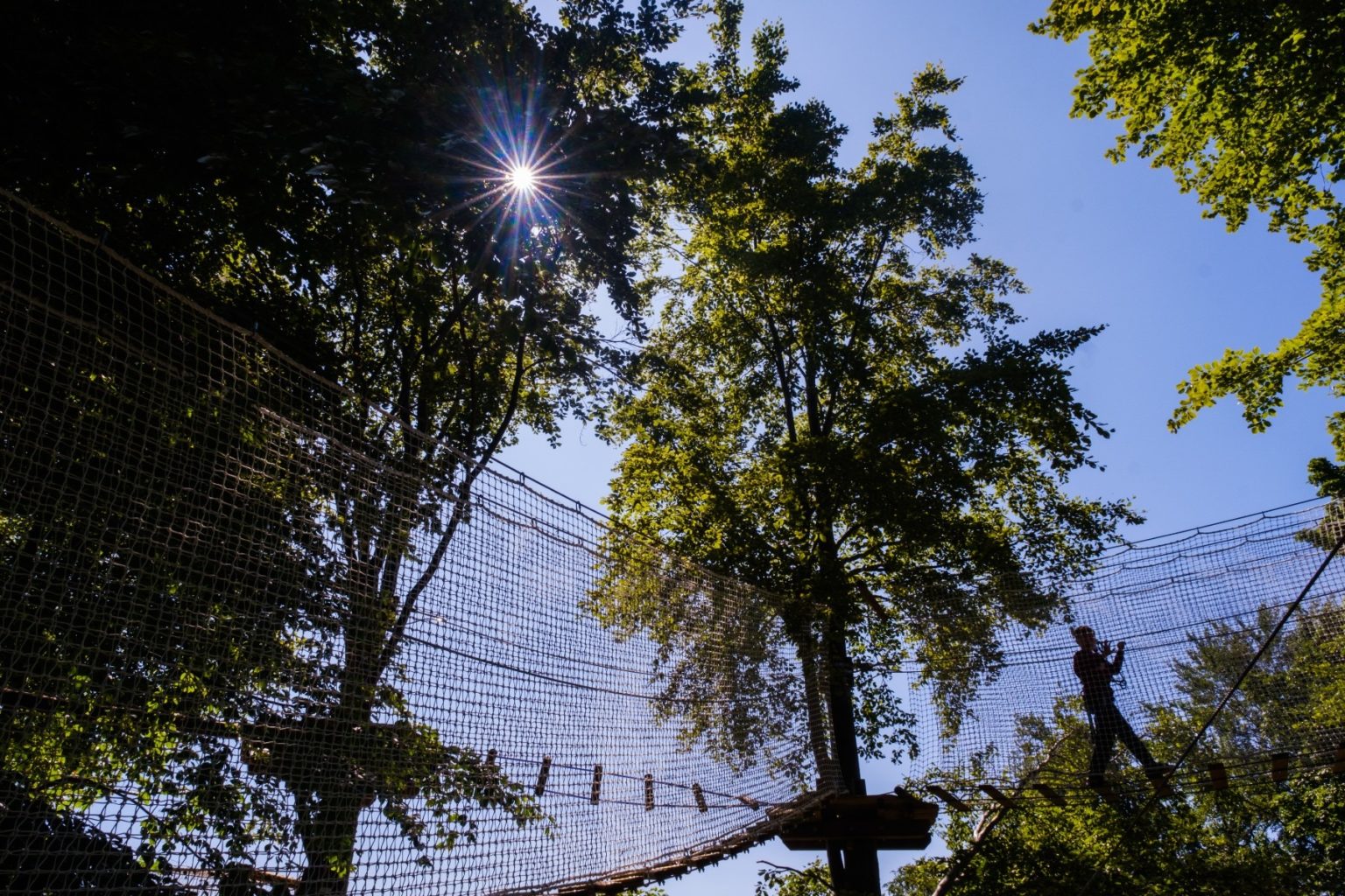 11 Amazing Things To Do in Newcastle For Kids 2025