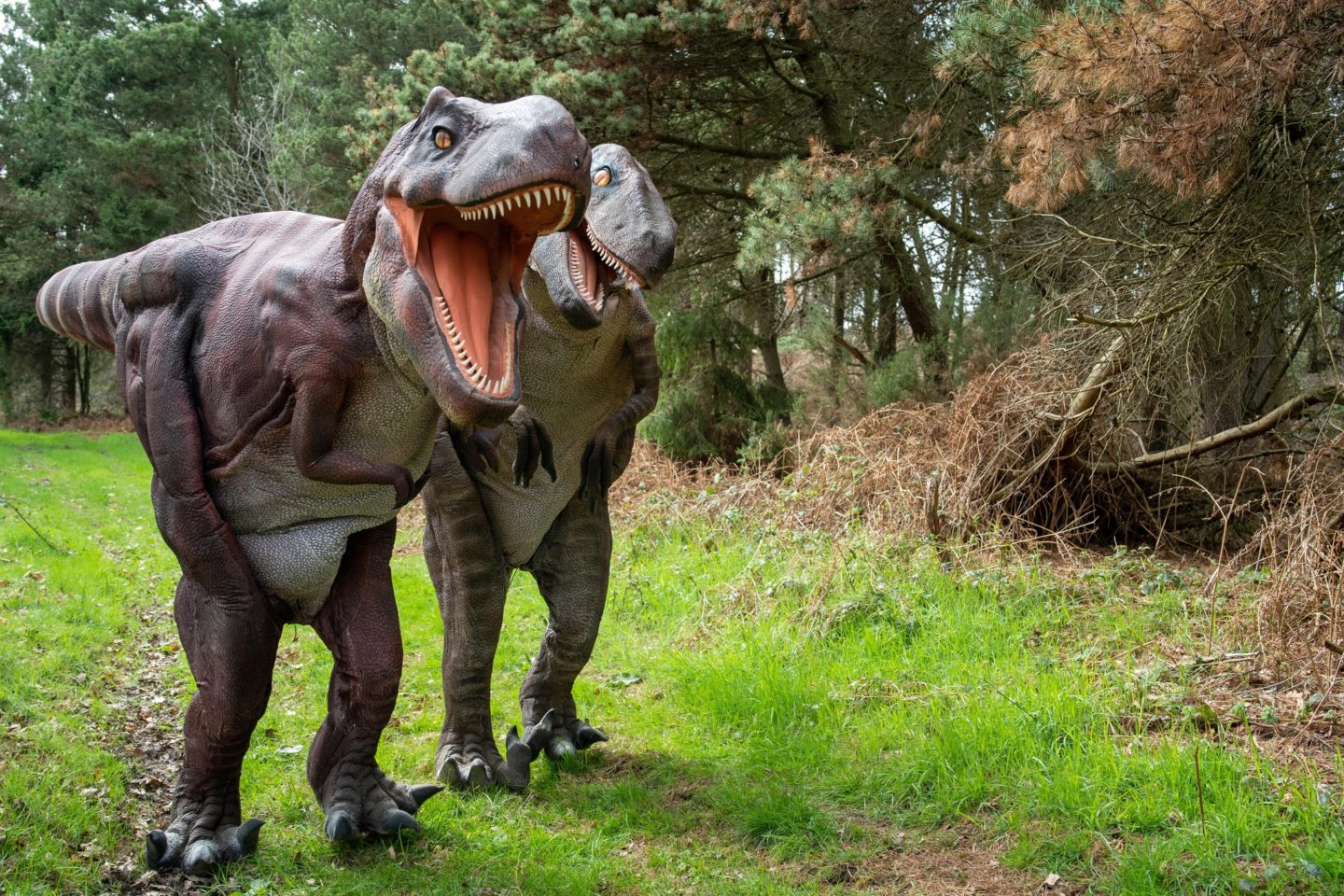 Fantastic May Half Term Activities Near Me 2022