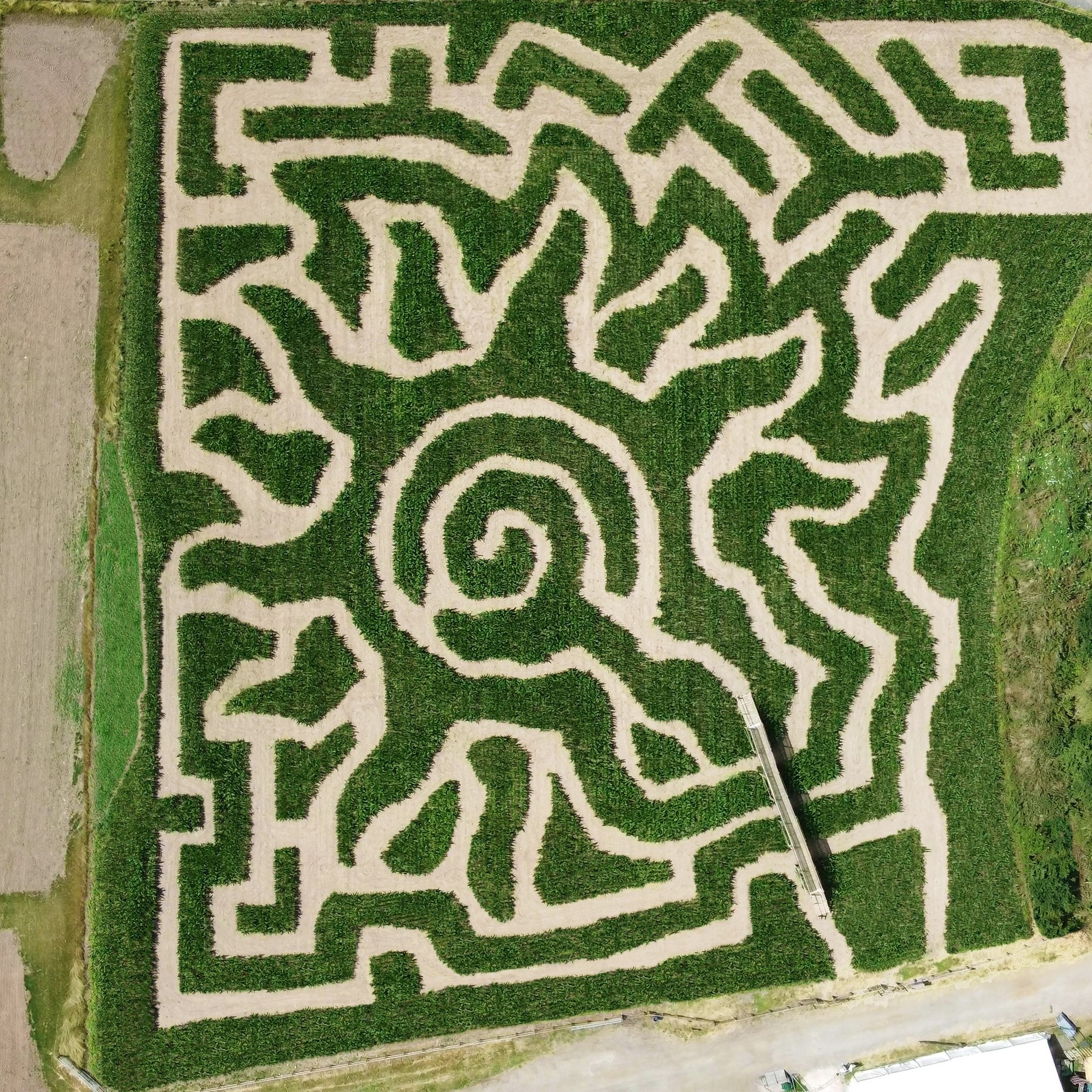 Over 60 Amazing Maize Mazes To Visit in 2025