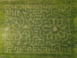 Over 60 Amazing Maize Mazes To Visit in 2022