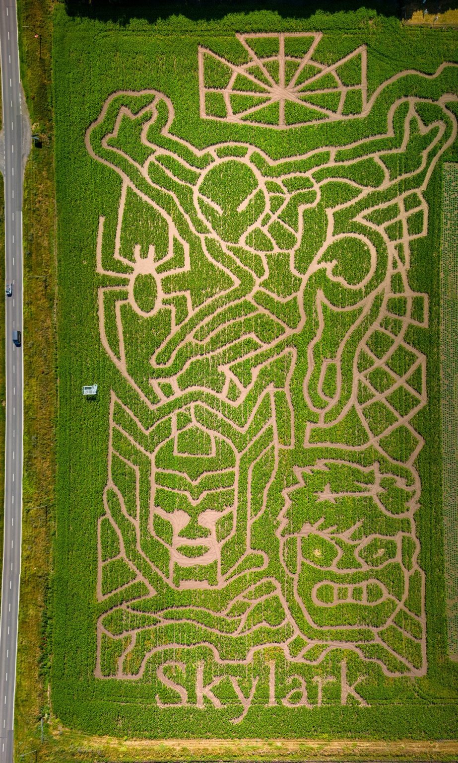 Over 60 Amazing Maize Mazes To Visit in 2022