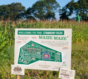 Over 60 Amazing Maize Mazes To Visit in 2022