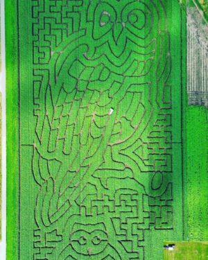 Over 60 Amazing Maize Mazes To Visit in 2025