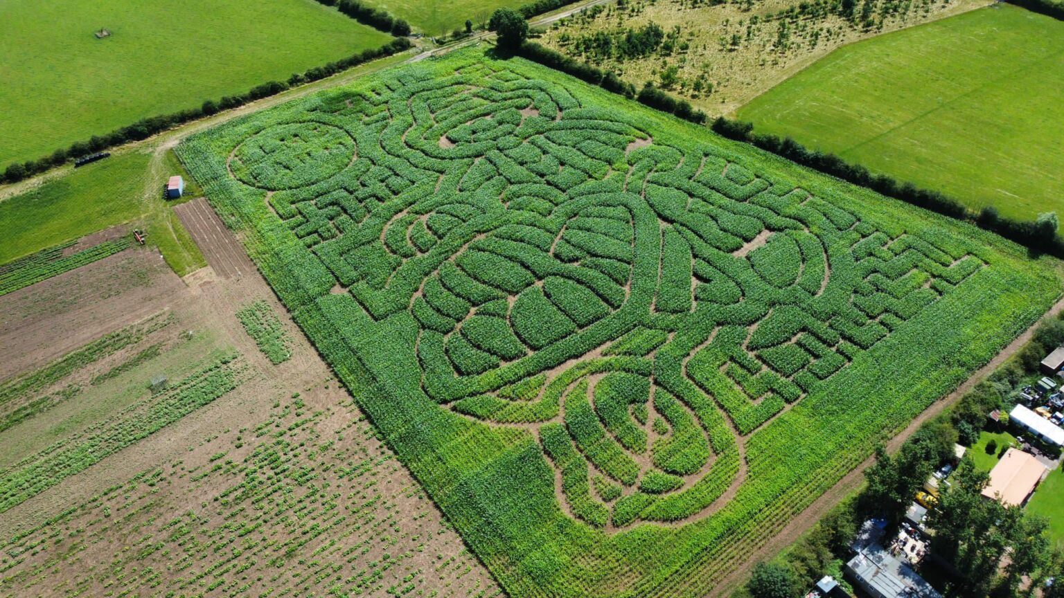 Over 60 Amazing Maize Mazes To Visit in 2025