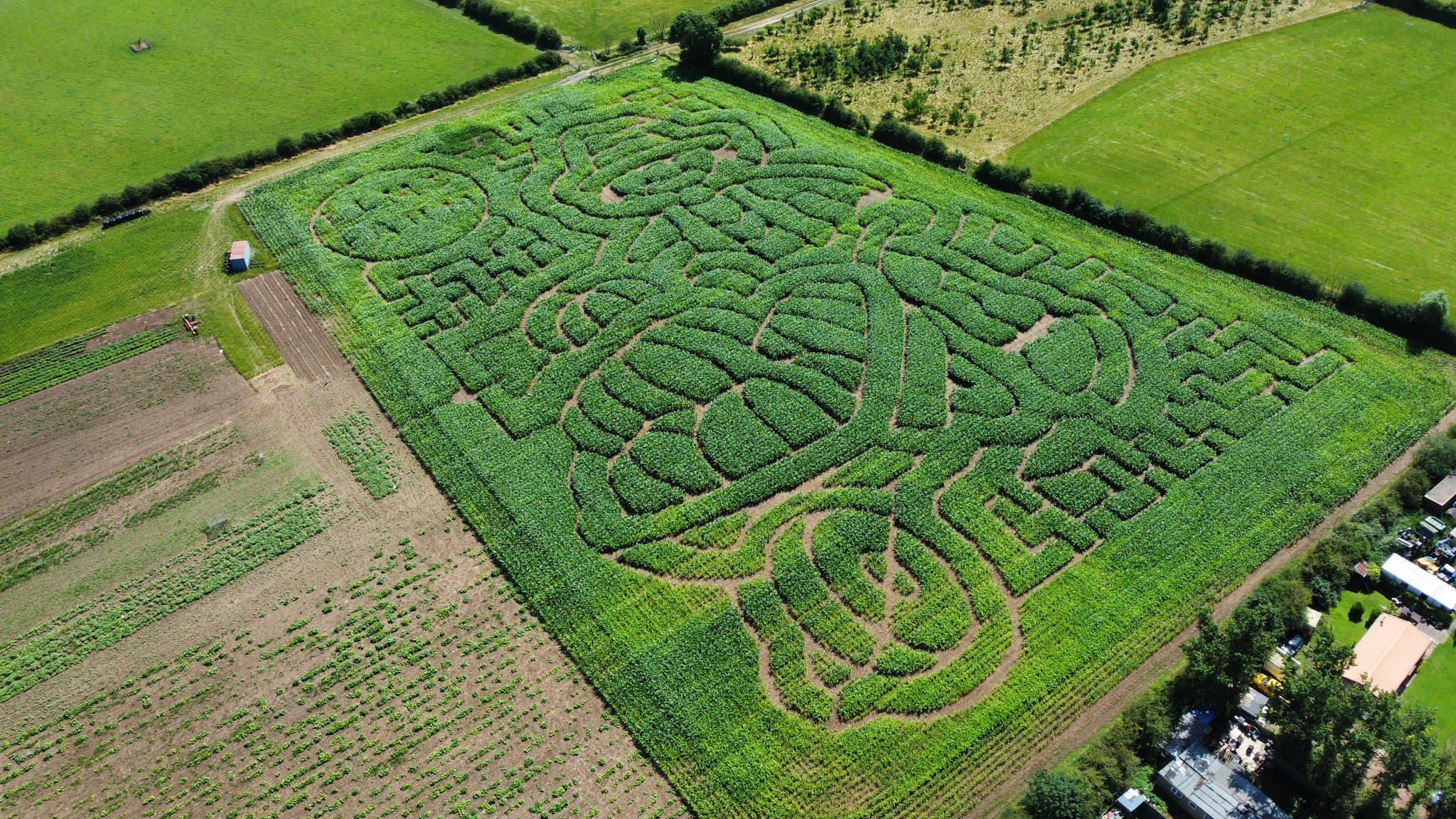 Over 60 Amazing Maize Mazes To Visit in 2025
