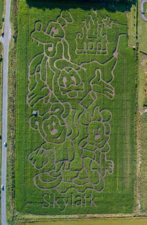Over 60 Amazing Maize Mazes To Visit in 2025