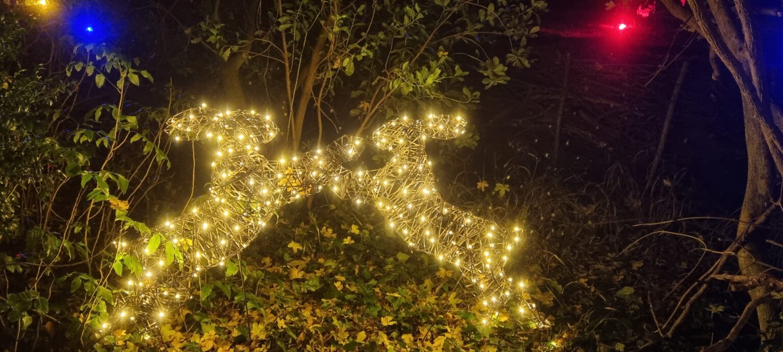 Beautiful Helmingham Hall Illuminated Garden Trail