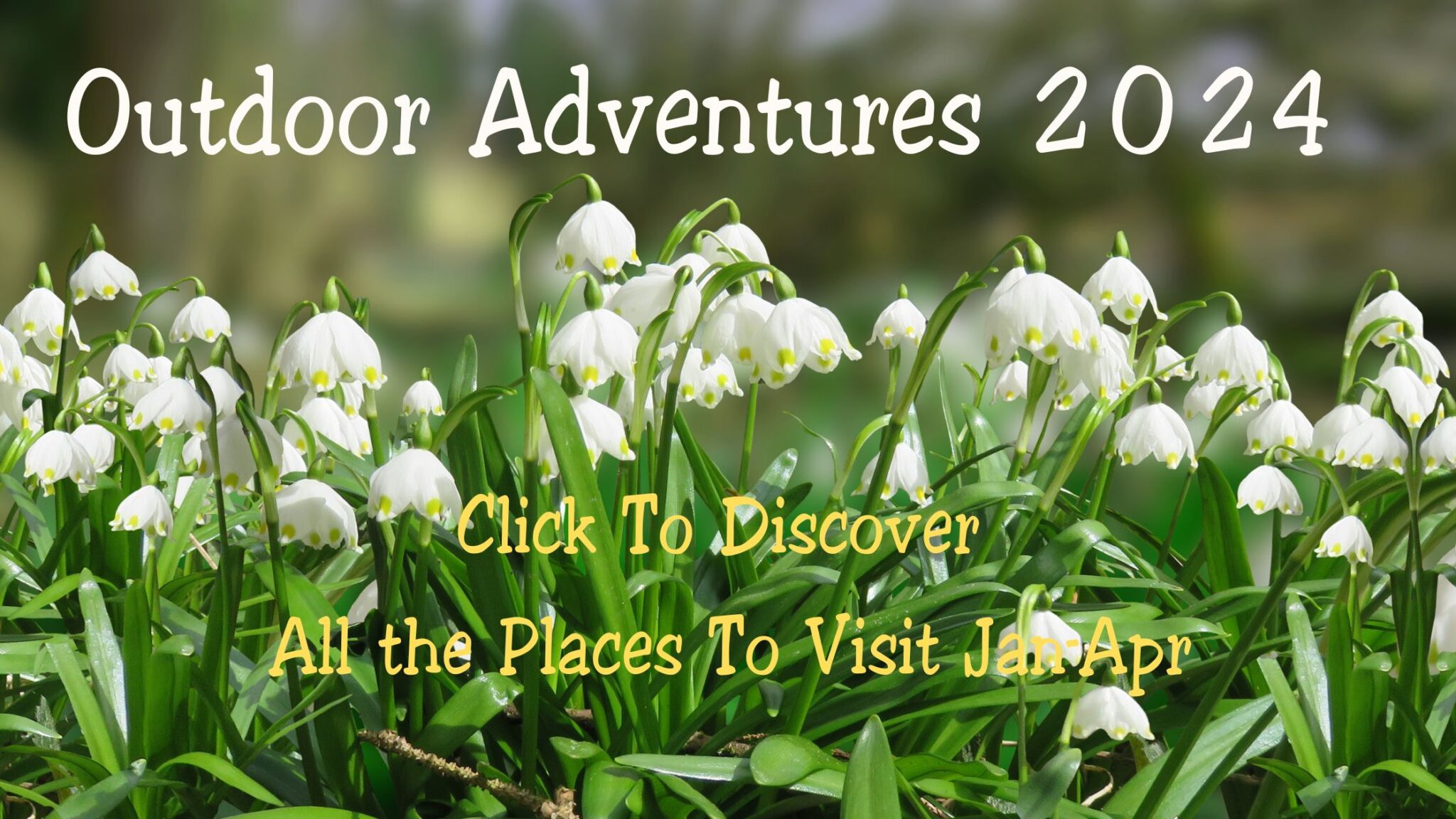 Hi From Big Family Little Adventures