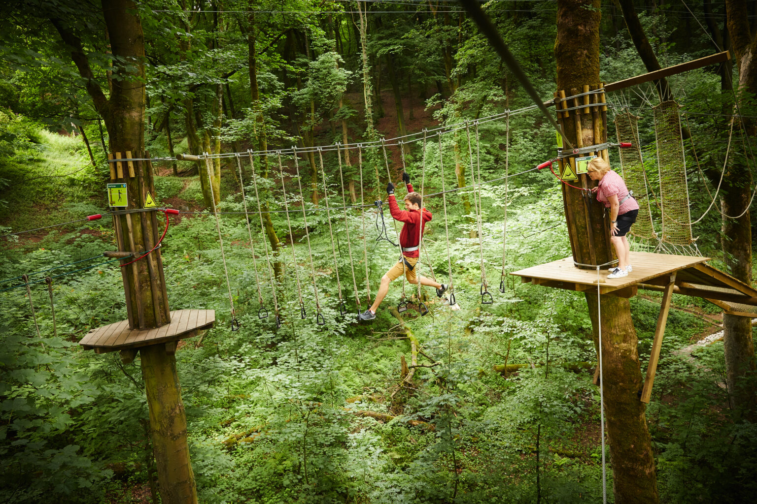 Which Fantastic Go Ape Will You Visit This Year