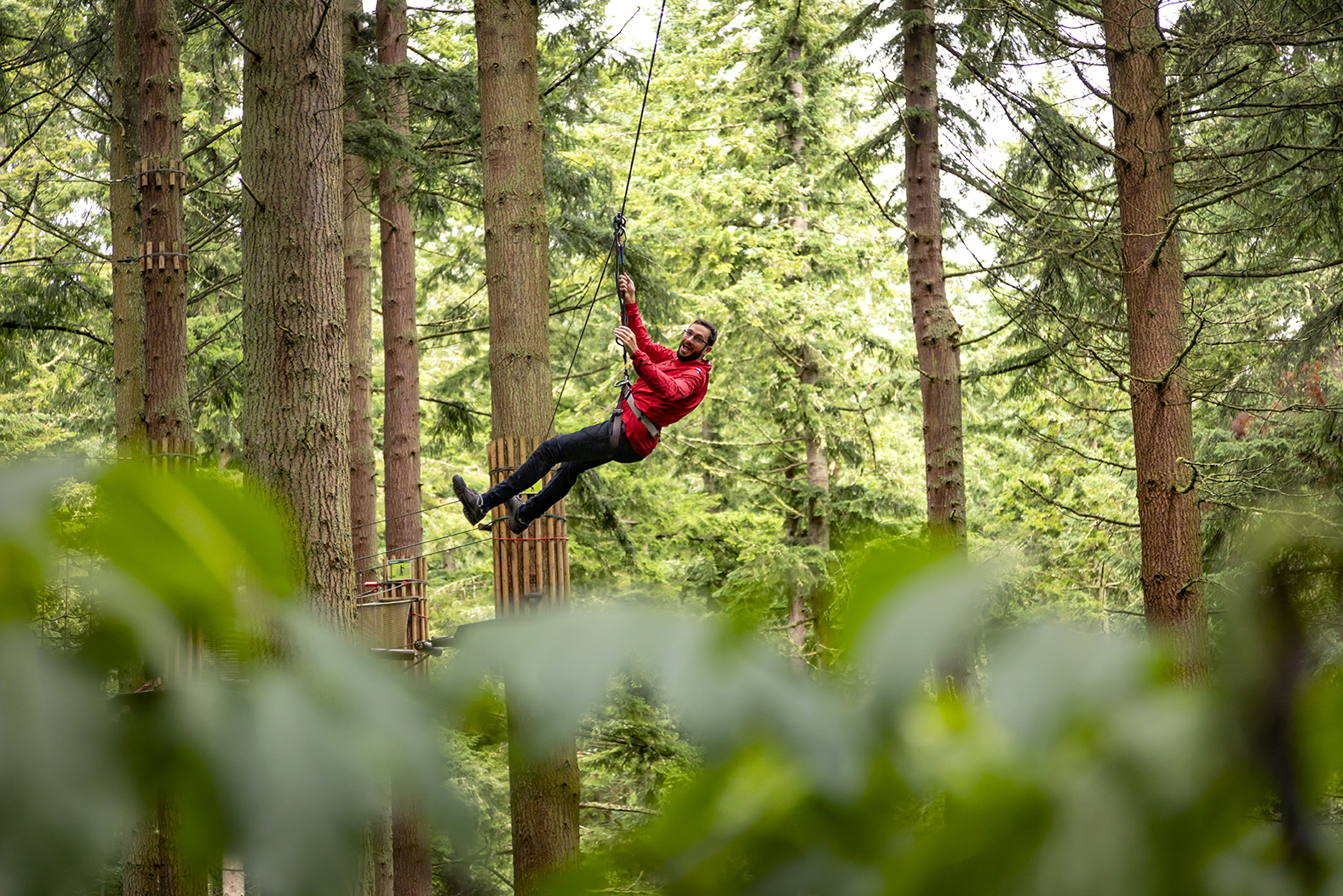 Which Fantastic Go Ape Will You Visit This Year